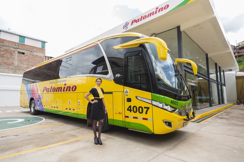 Hiking Tours to Machu Picchu, Travel Guide & Trip Packages