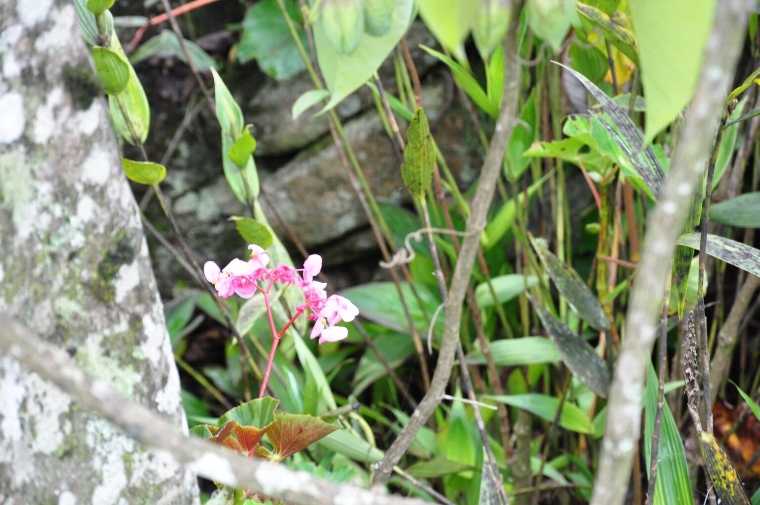 Highlights of the Short Inca Trail